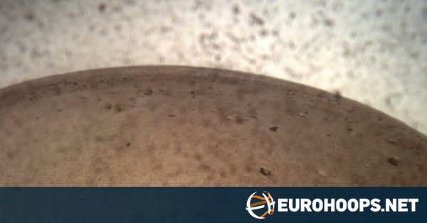 Πλανήτης Άρης: «Μαγεύουν» οι πρώτες φωτογραφίες του InSight χωρίς το ...